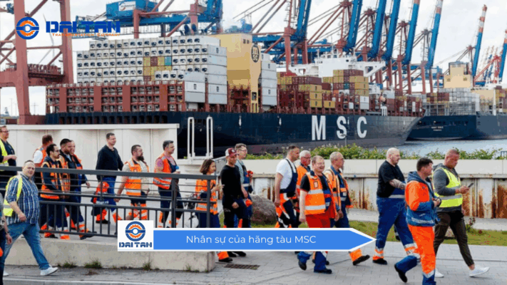 Hãng tàu MSC – Mediterranean Shipping Company