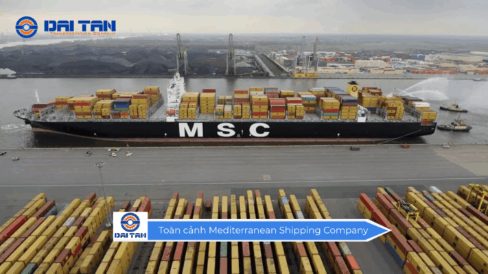 Hãng tàu MSC – Mediterranean Shipping Company