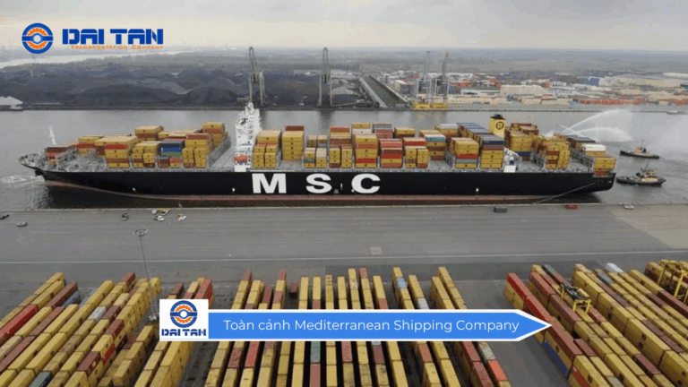 Hãng tàu MSC – Mediterranean Shipping Company