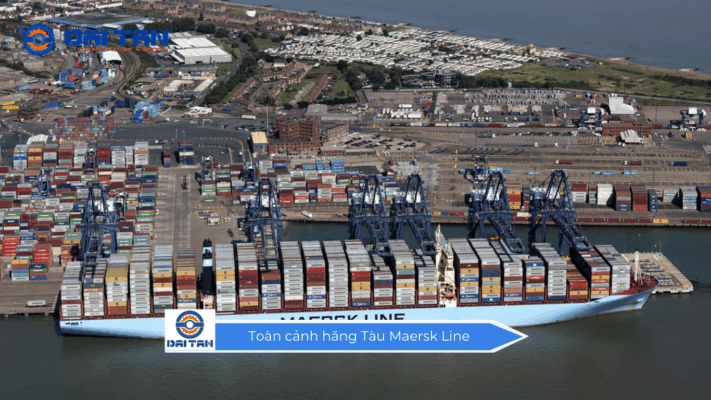 Hãng Tàu Maersk Line