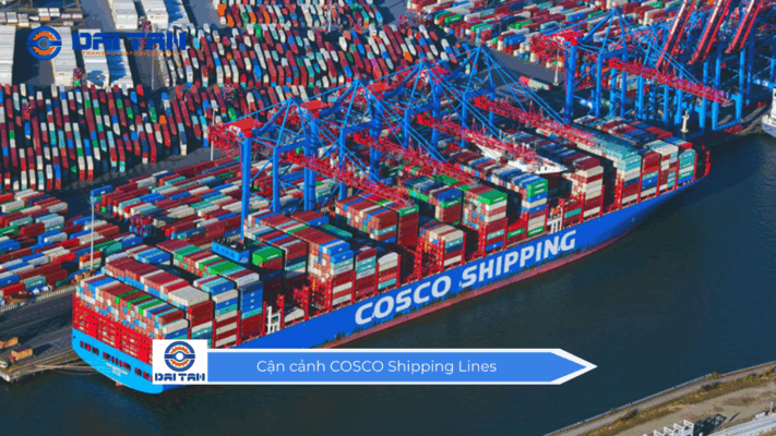 Hãng Tàu COSCO Shipping Lines