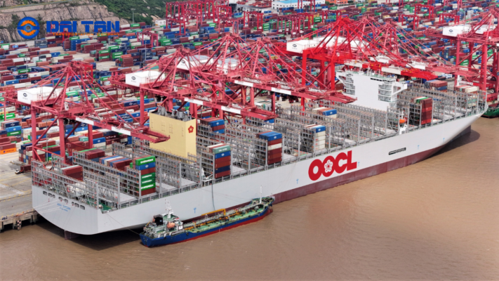Hãng Tàu OOCL – Orient Overseas Container Line